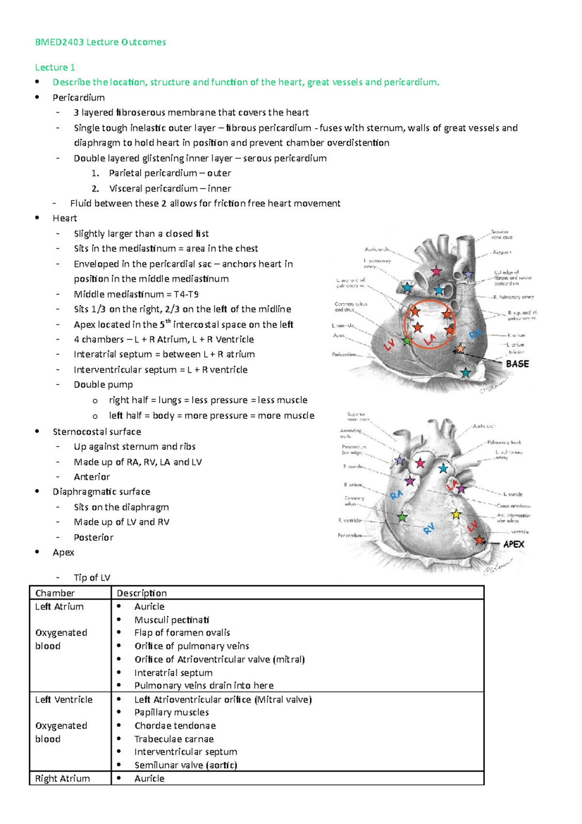 Lecture Notes Summarised According To The Learning Outcomes Bmed2403 Lecture Outcomes Lecture