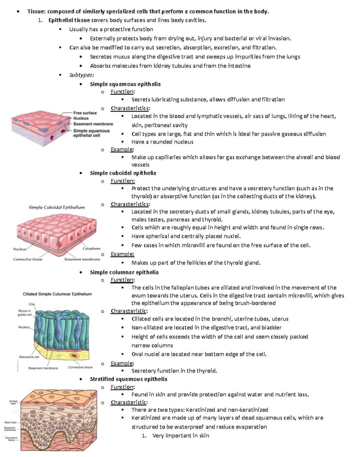 Tissue Notes - Warning: TT: undefined function: 32 Warning: TT ...