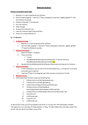 5 - Malware Analysis Lab - Malware Analysis Prepare an analysis report ...