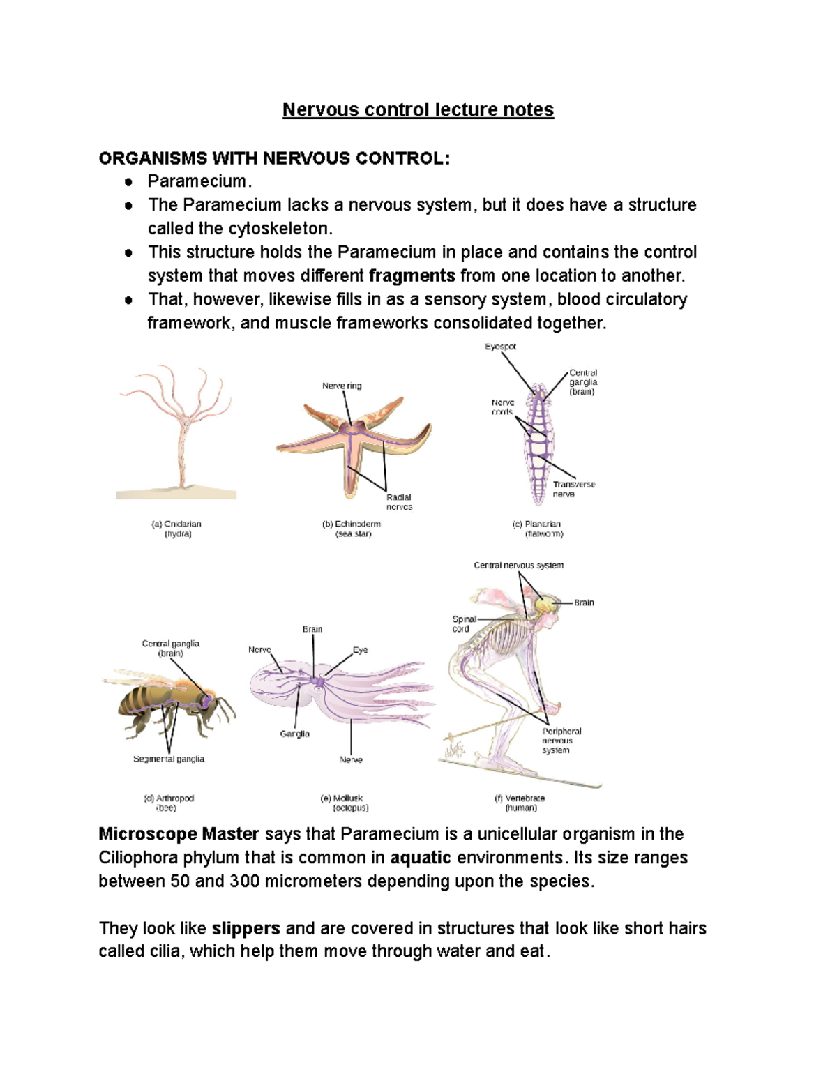 Nervous control lecture notes - Nervous control lecture notes ORGANISMS ...