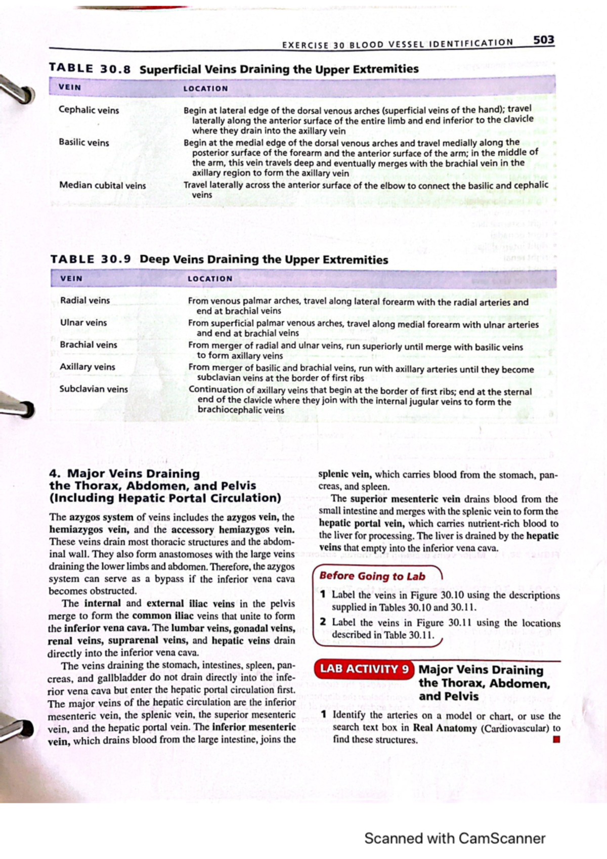 Blood vessel identification part 2 - EXERCISE 30 BLOOD VESSEL ...