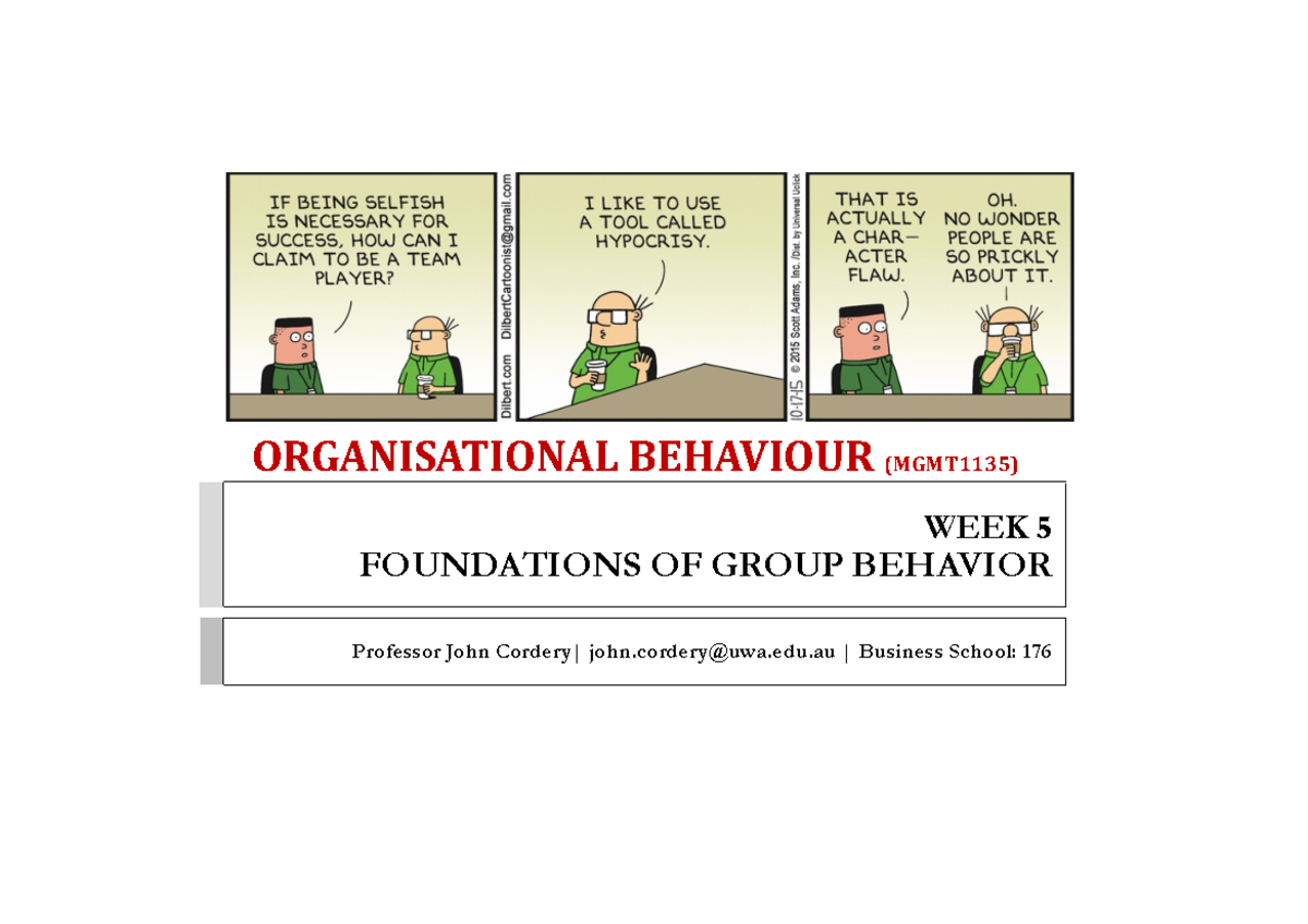W7 Foundations of Group Behavior - WEEK 5 FOUNDATIONS OF GROUP BEHAVIOR ...