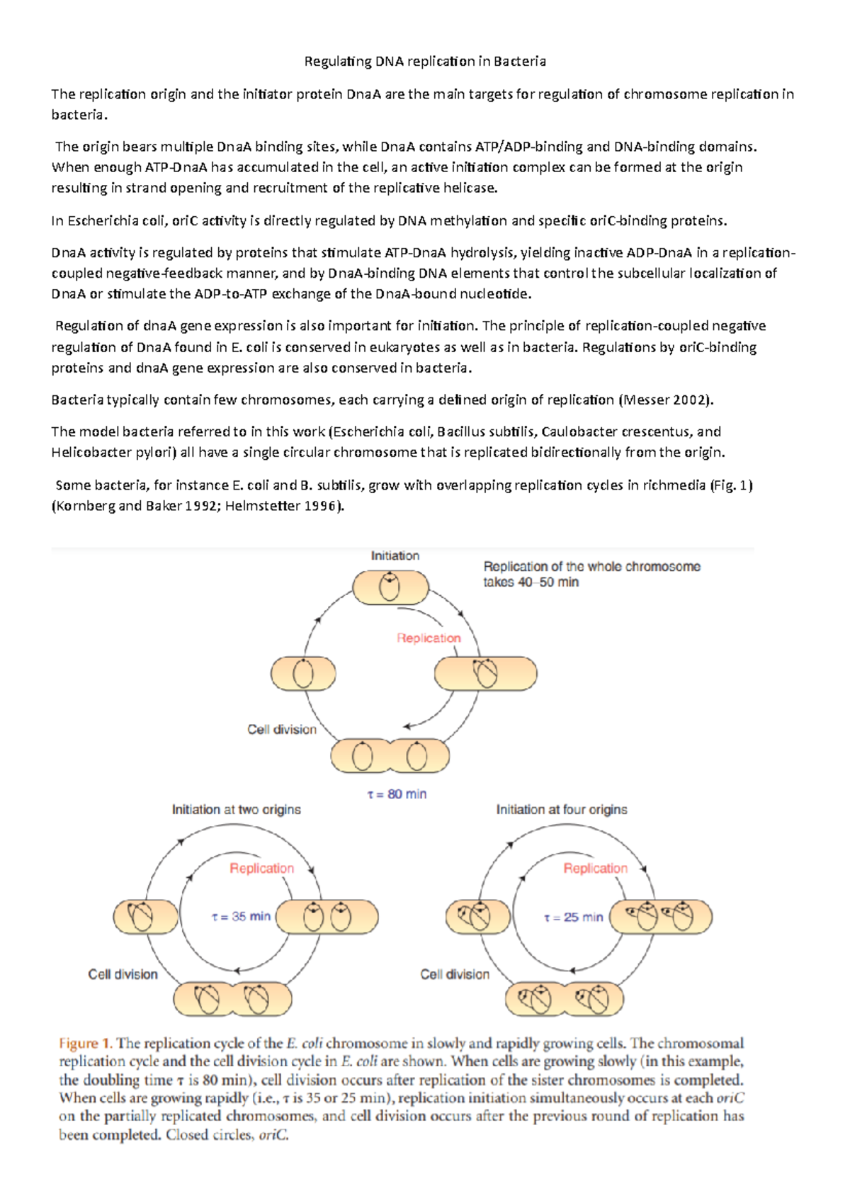 Lecture 2 reading- Regulating DNA replication in Bacteria - Regulating ...