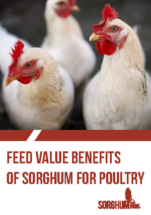 Agri sample csec ag sci sba crop livestock investigative projects -05 ...