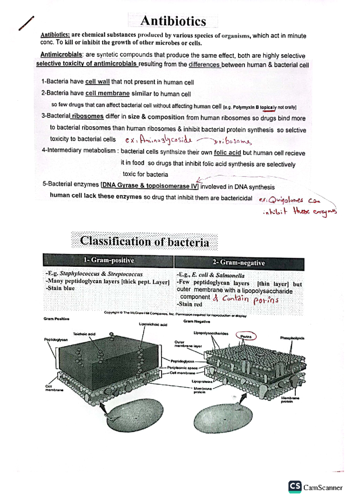 Pharma 3 . lec 3 .Antibiotics - Pharmacology (3) - Studocu