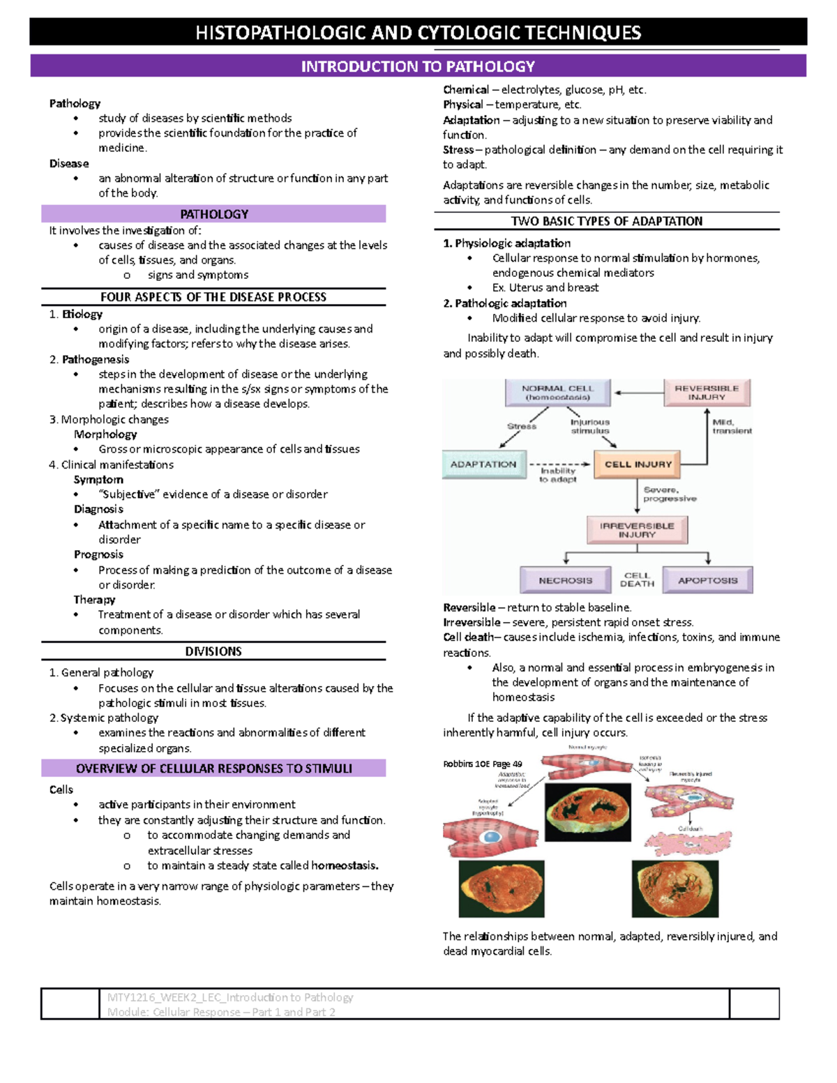 Histopathology - Week 2 - Pathology study of diseases by scientific ...