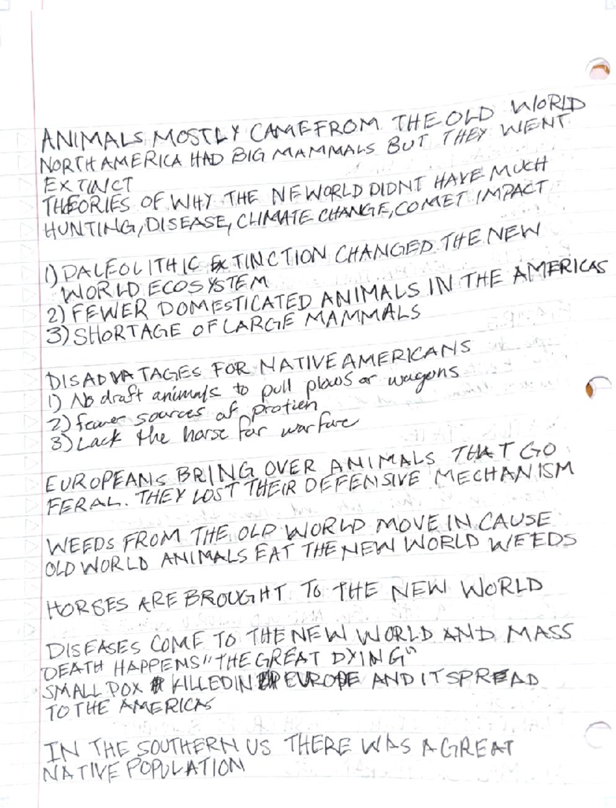 Hist after 1500 2 - ANIMALS Mosth CAME FROM THE OVP we Nort AMERICA HAD ...