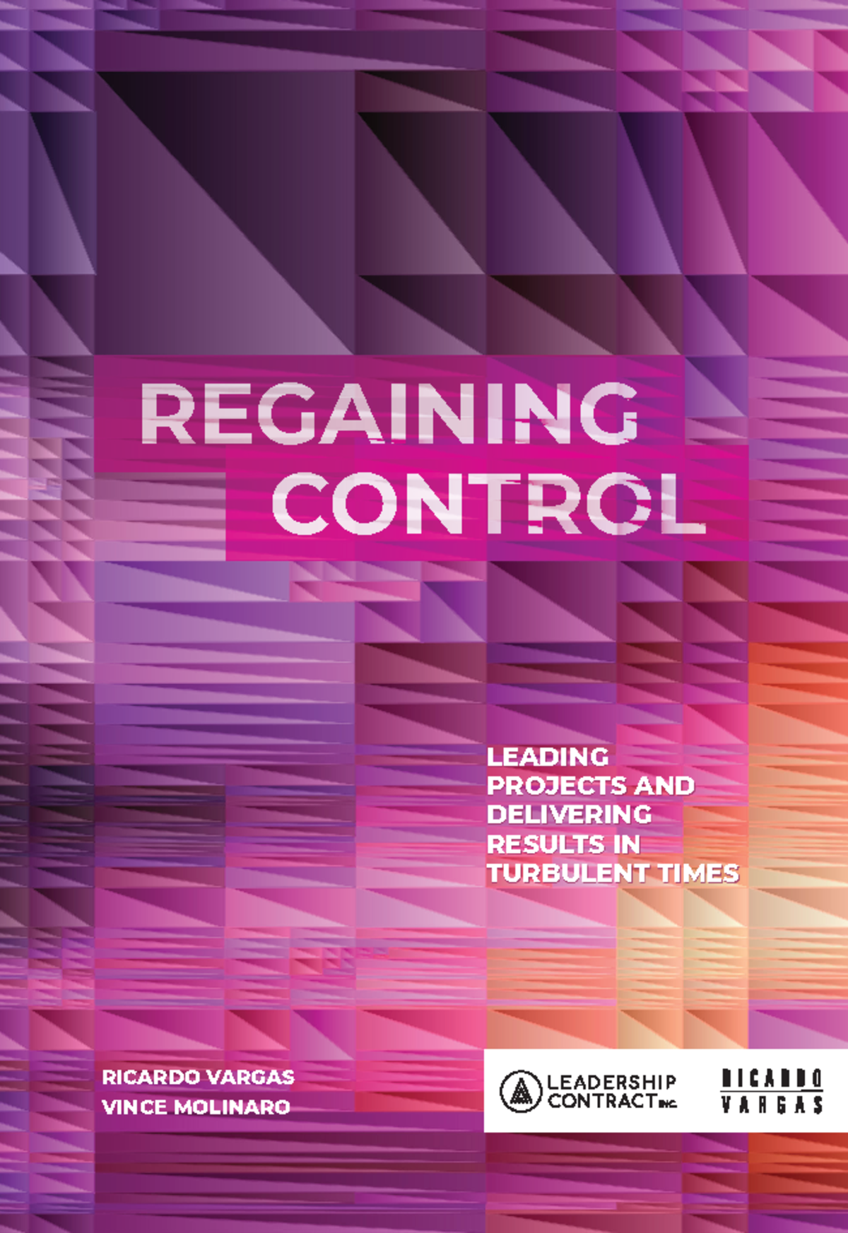 Regaining Control final web - REGAINING CONTROL LEADING PROJECTS AND ...