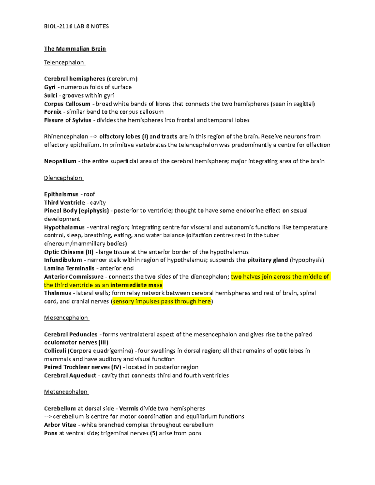 BIOL-2116 The Mammalian Brain - BIOL-2116 LAB 8 NOTES The Mammalian ...