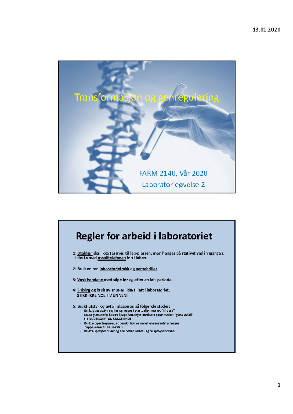 FARM2140 vår 2020 Labintro laboppg 2 transformasjon - Transformasjon og genregulering FARM 2140 ...