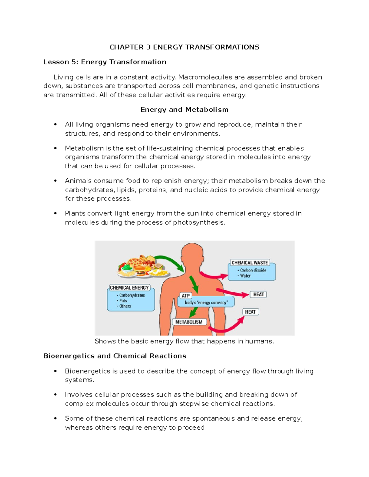 Chapter 3 Energy Transformations - biology - CHAPTER 3 ENERGY ...