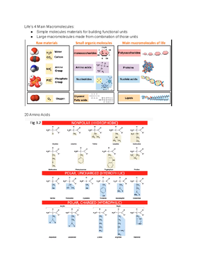 [Solved] BIOL 275L Cell and Molecular Biology Lab Worksheet 7 total 20 ...