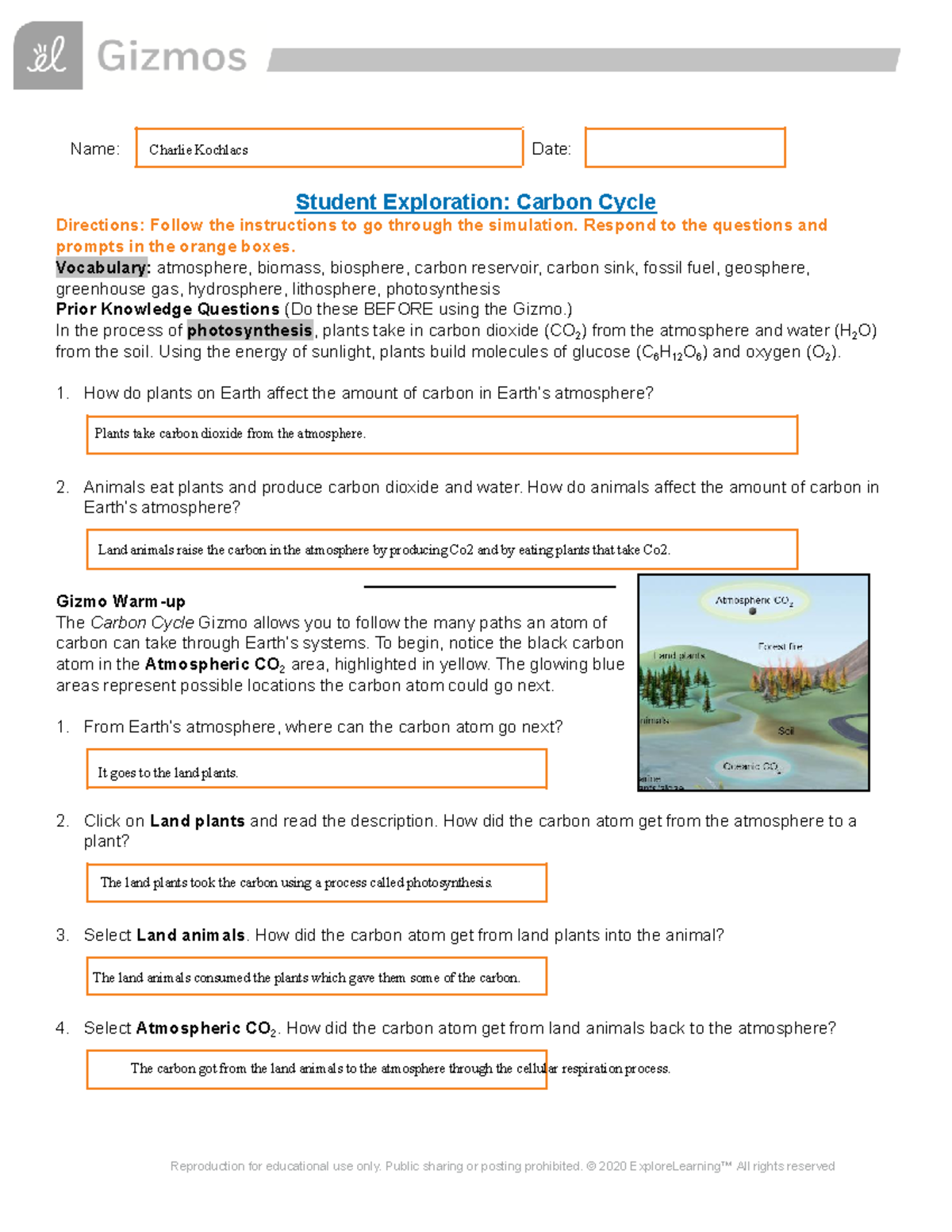Charlie Kochlacs - Gizmos Honor Carbon Cycle - Name: Date: Student ...