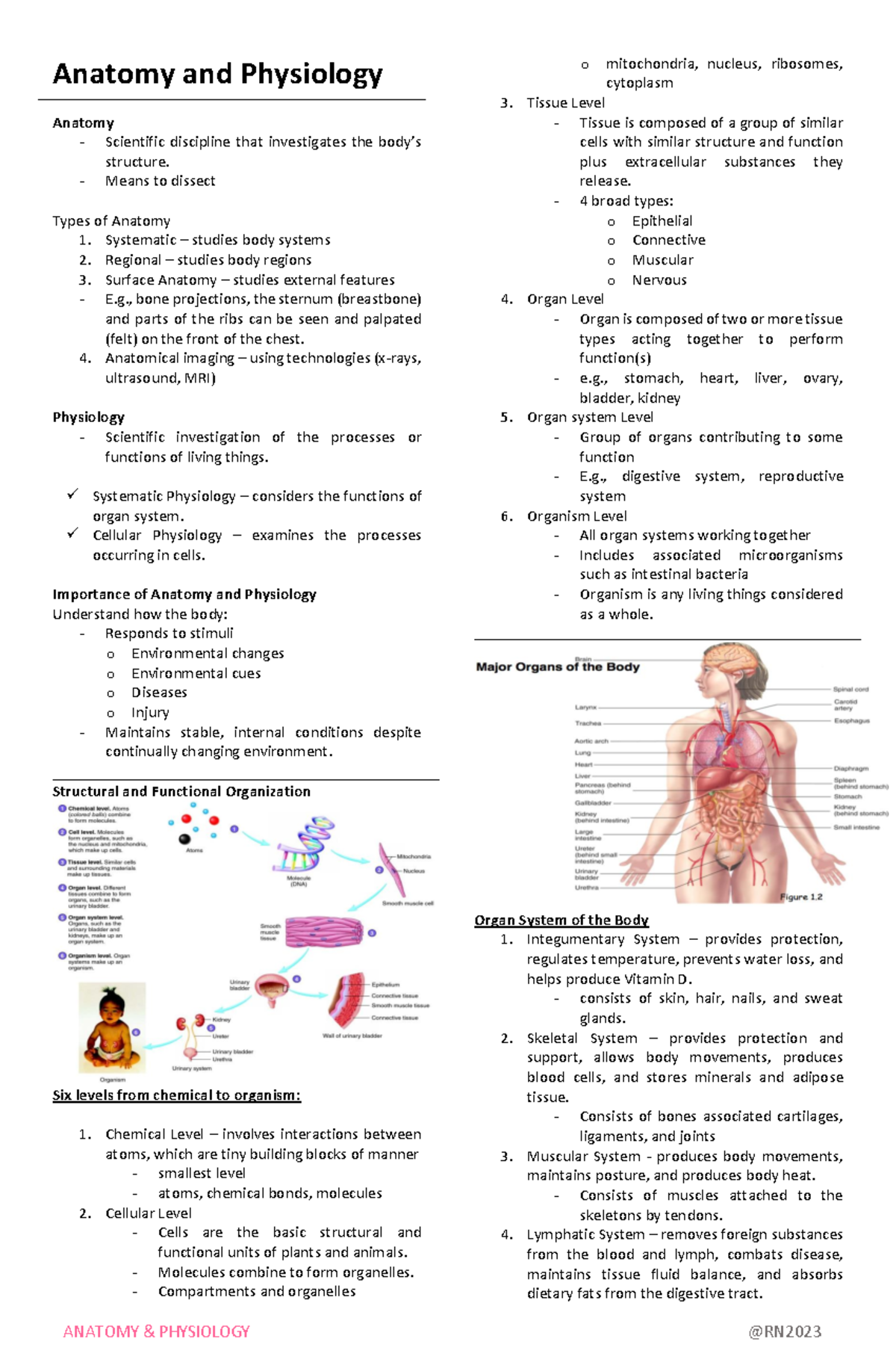 Anatomyphysiology - notes - Anatomy and Physiology Anatomy - Scientific ...