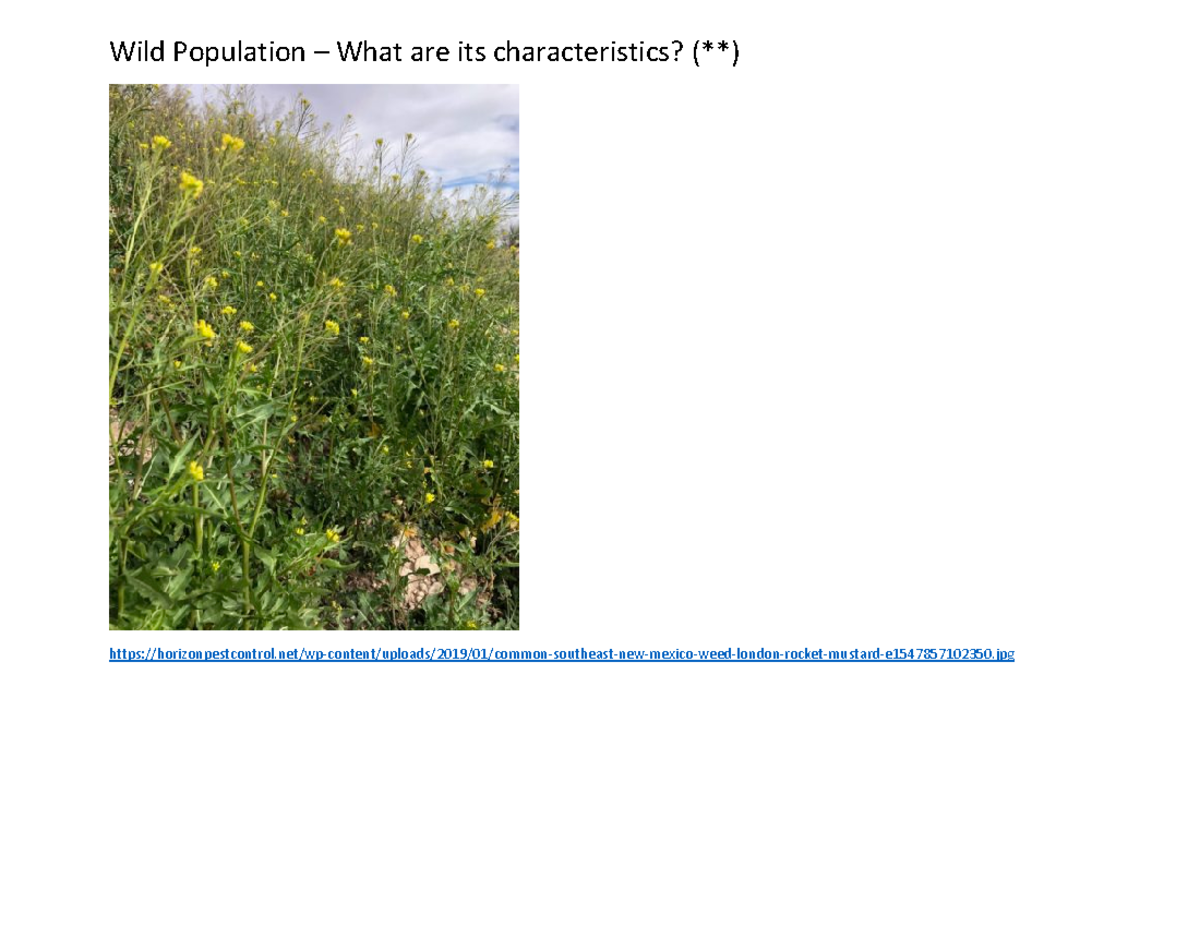(1 ) slides - Lecture 1 - Wild Population – What are its ...
