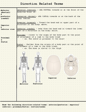 Anatomy Lab HW 2 NEW - Block 2 Homework: Thorax True or False Determine ...