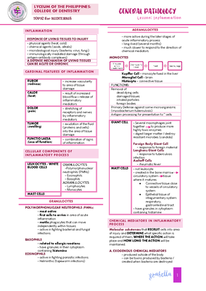 DRUG Study Ampicillin - N/A - DRUG NAME CLASSIFICATIONS AND MECHANISMS ...