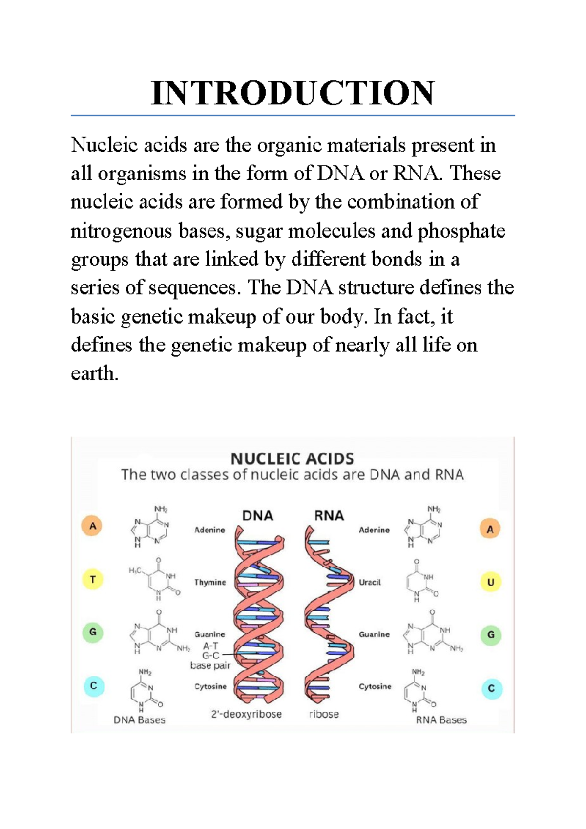 Biology investigatory project DNA,the mysterious molecule ...