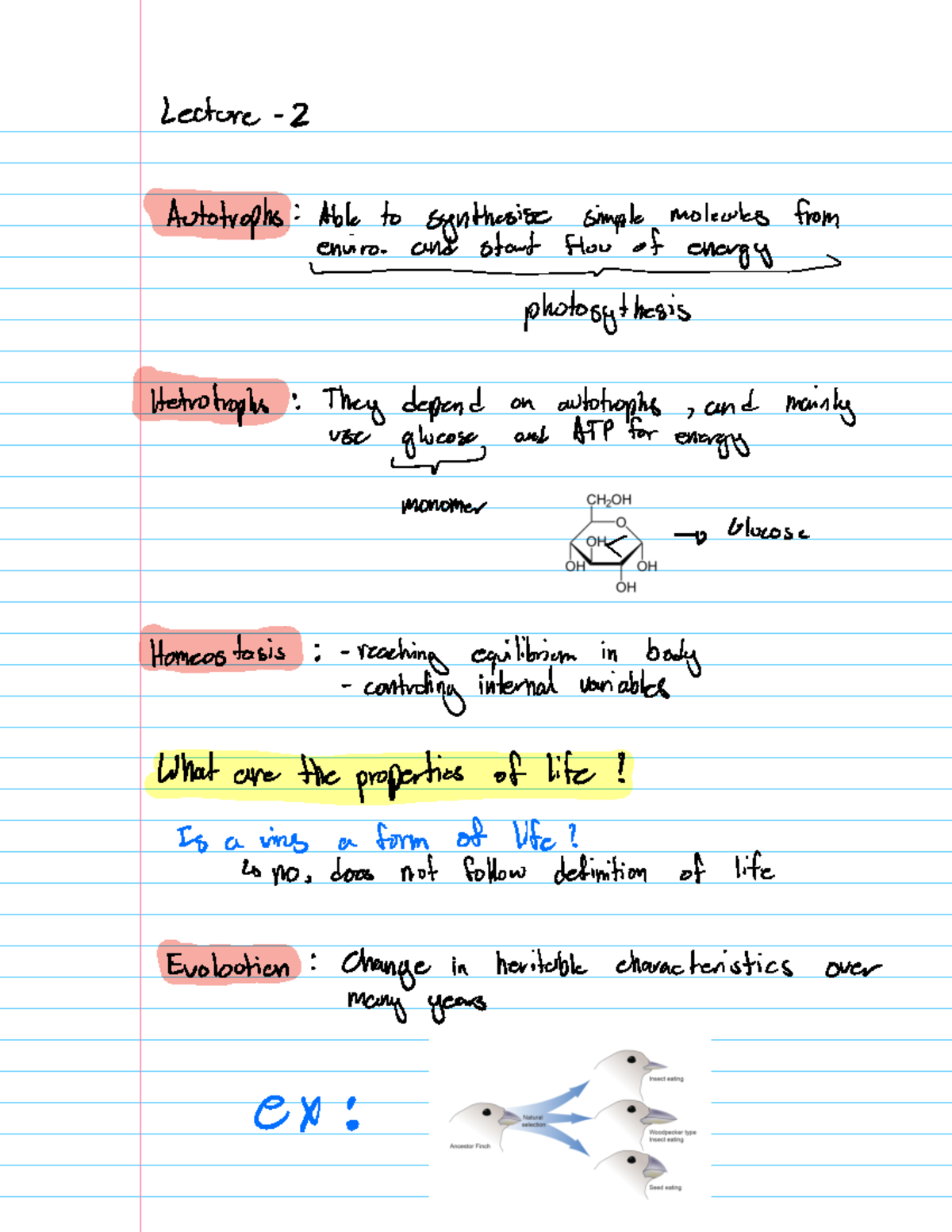 Bio lecture-2 - Lecuture 2 - Lecture 2 Autotrophs Able to synthesise ...