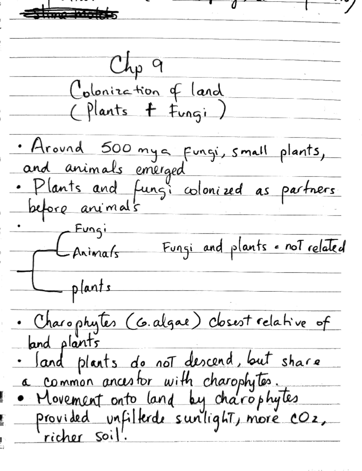 Colonization of Land (plants - fungi) - Chp 9 Colonization of land ...