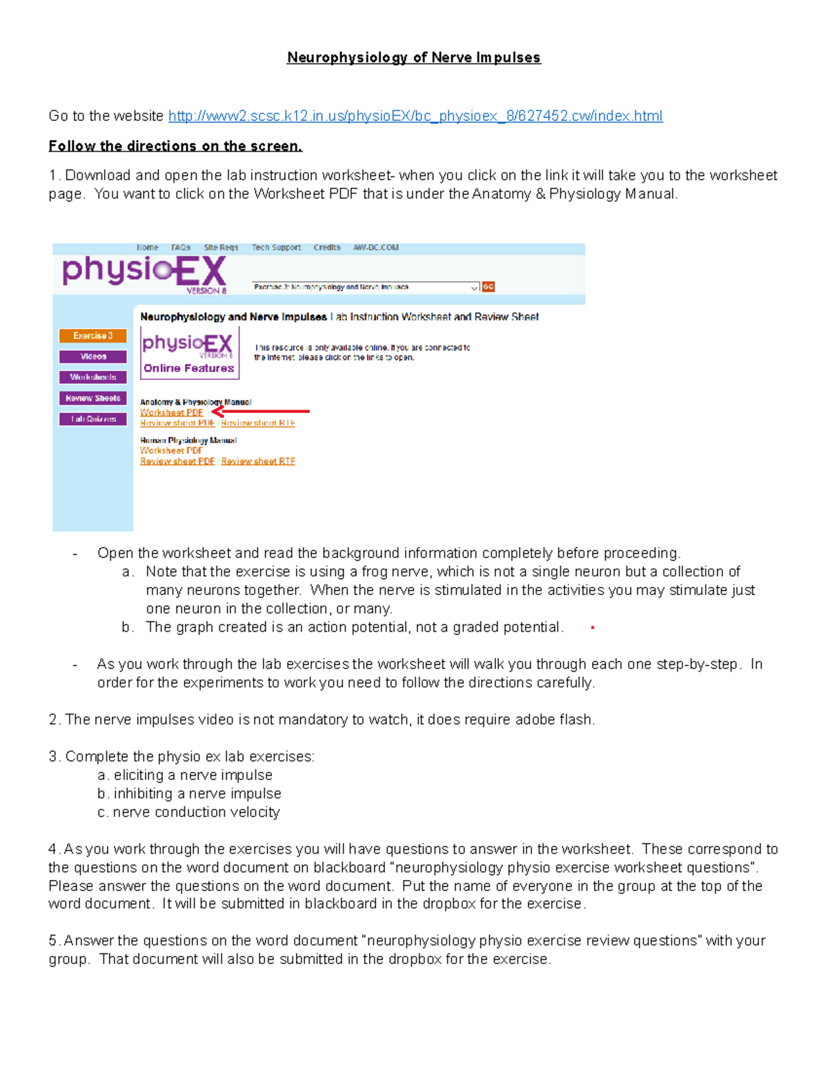 Neurophysiology Physio Exercise Review Q&A - Neurophysiology of Nerve Impulses Go to the website ...