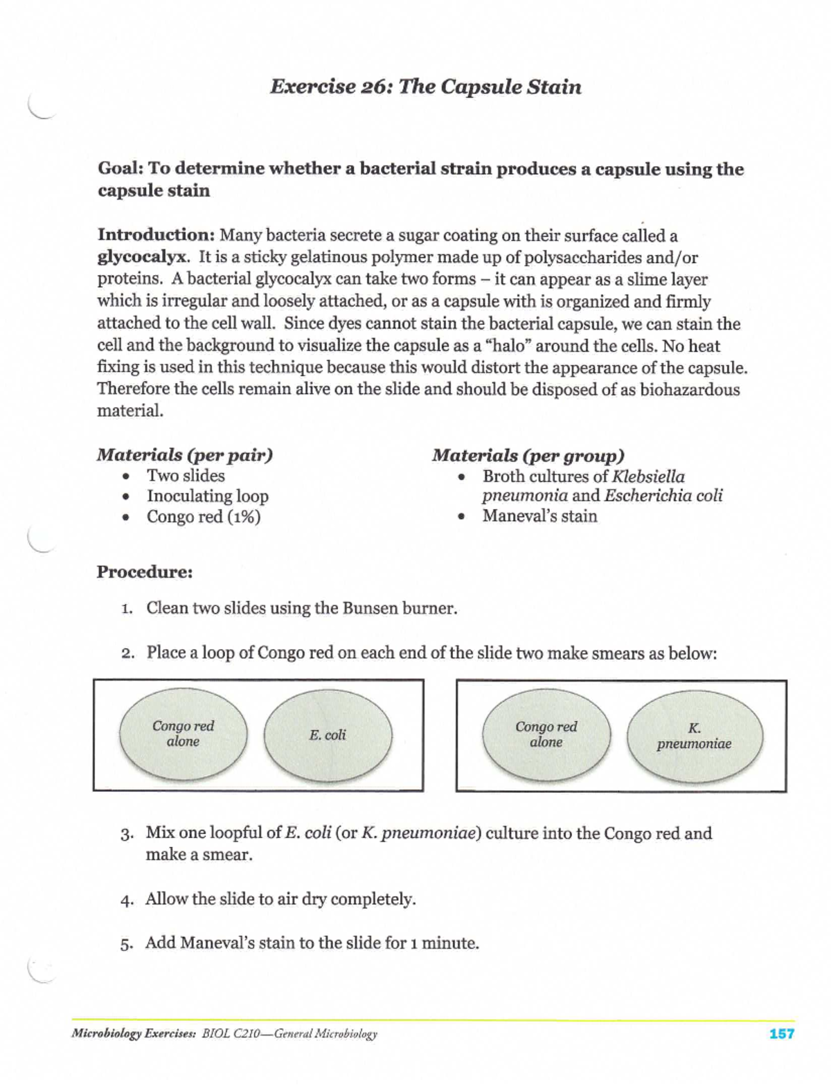 Lab 26 Capsule Stain - ABC - Exercise 26: The Capsule Stain Goal: To ...