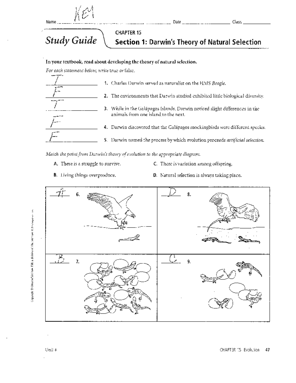 Ch 15 study guidekey - I dk - Studocu