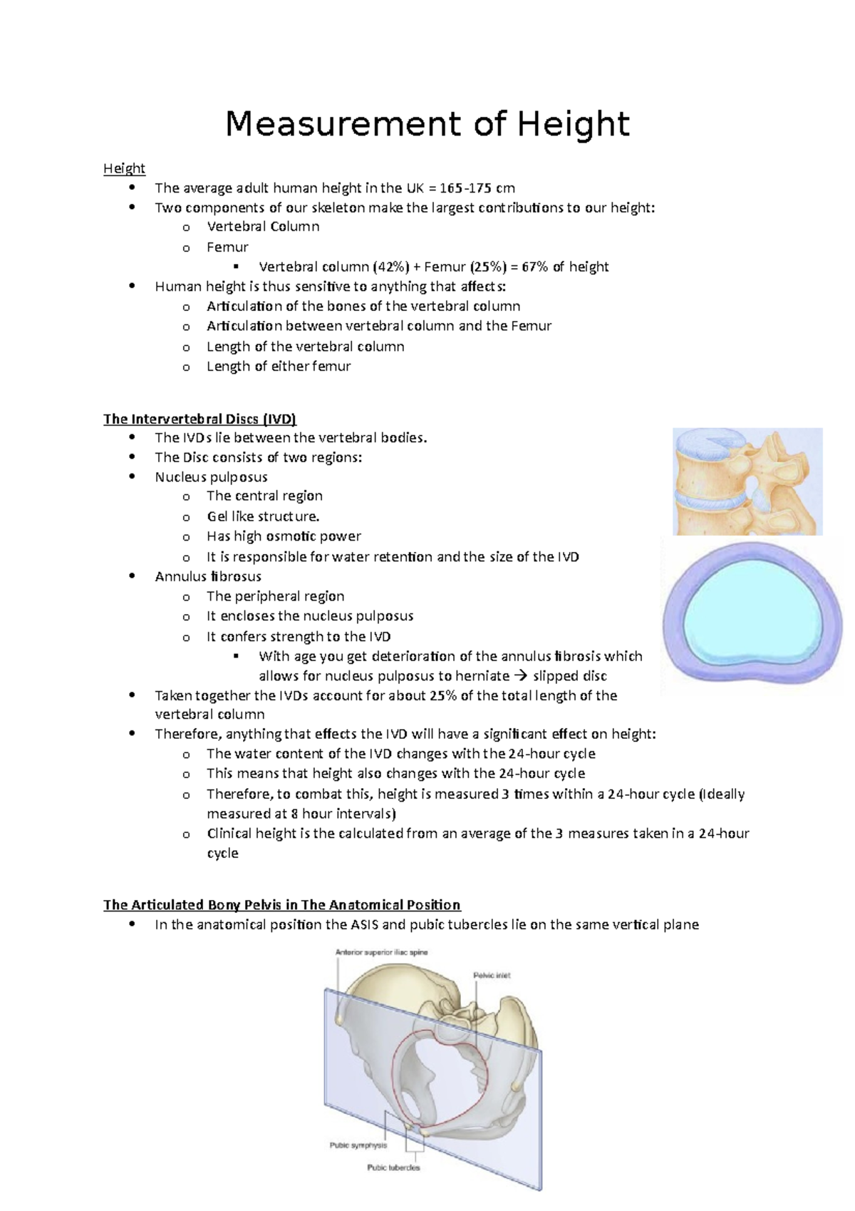 Measurement of Height - Measurement of Height Height The average adult ...