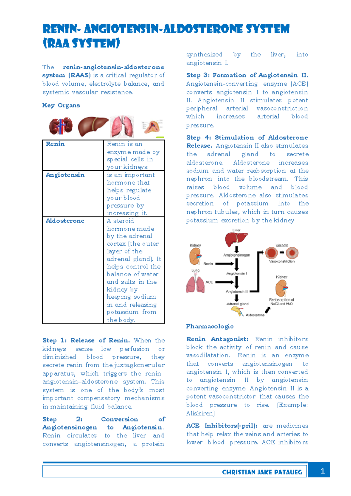 RAA System - Renin- Angiotensin-Aldosterone System (RAA System ...