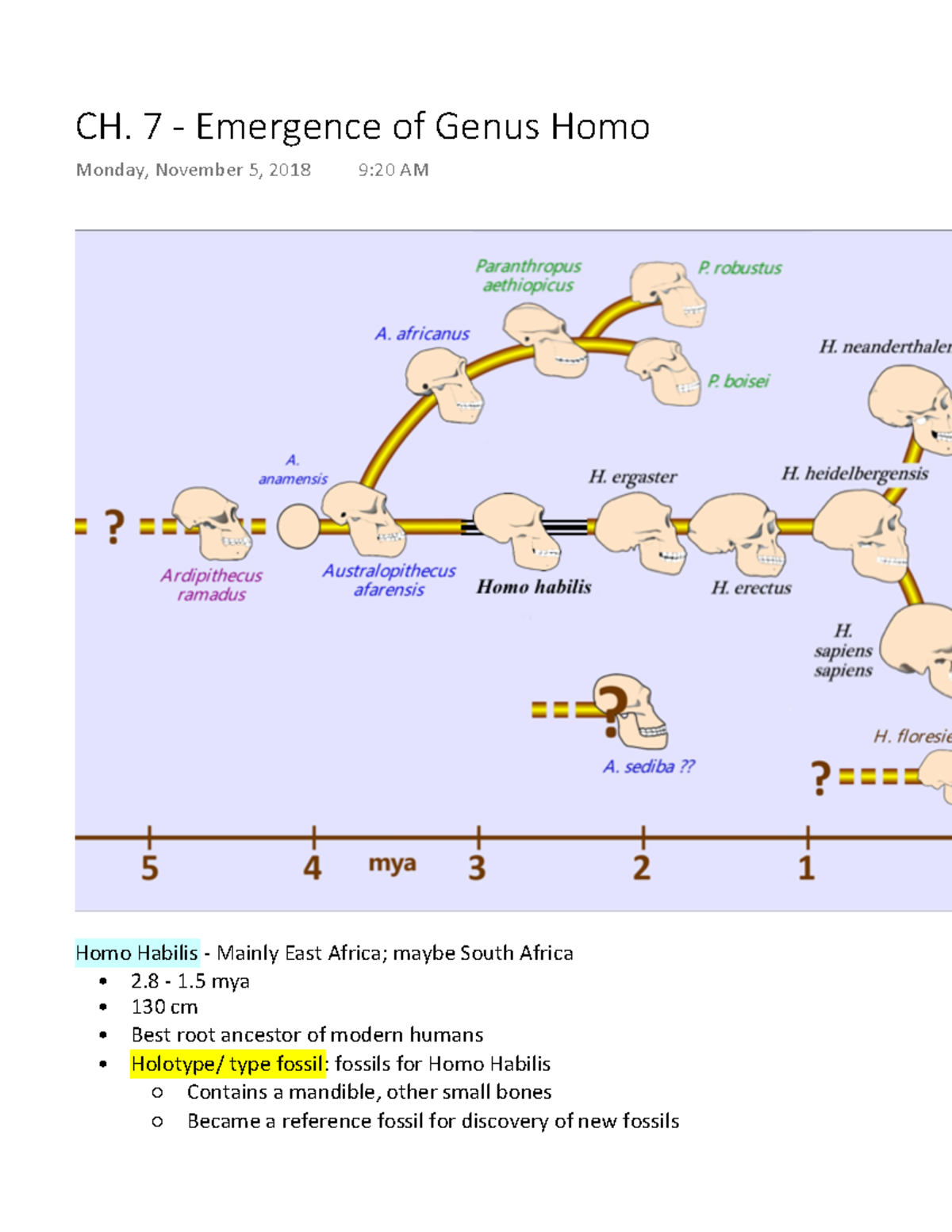 CH. 7 - Emergence of Genus Homo - Warning: TT: undefined function: 32 ...