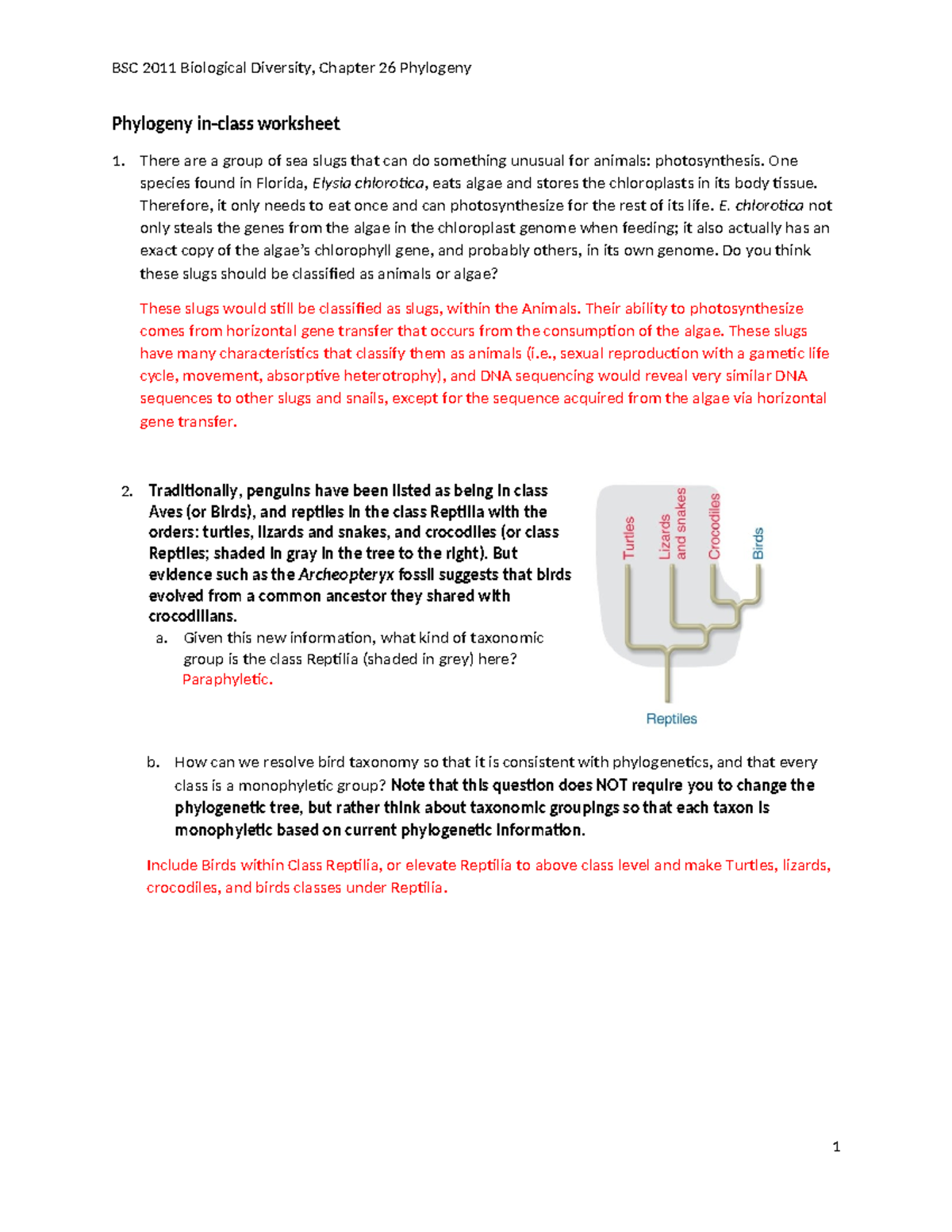 26 Phylogeny Worksheet Key - BSC 2011 Biological Diversity, Chapter 26 ...