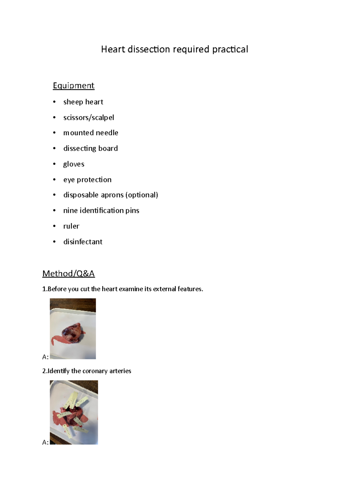 Heart Dissection Required Practical - Heart dissection required ...