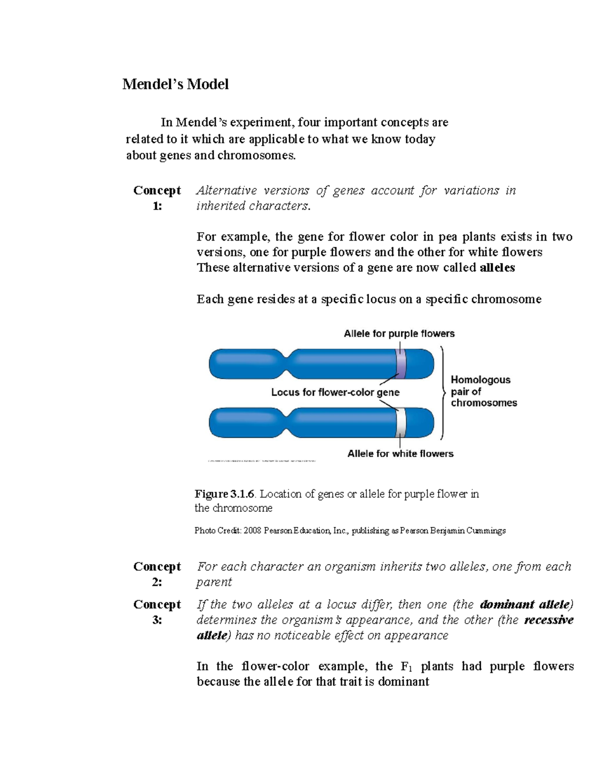 Mendel’s Model - Mendel’s Model In Mendel’s experiment, four important ...