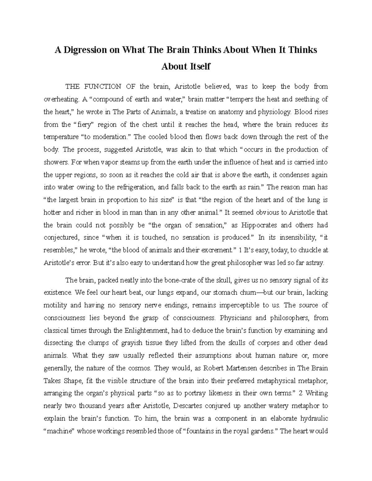 A Digression on What The Brain Thinks About When It Thinks About Itself ...