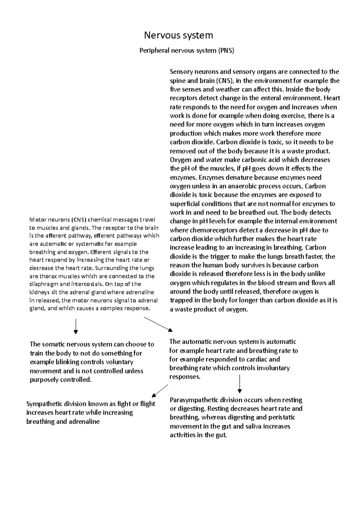 Nervous system diagram biology - Peripheral nervous system (PNS) Nervous system Sensory neurons ...