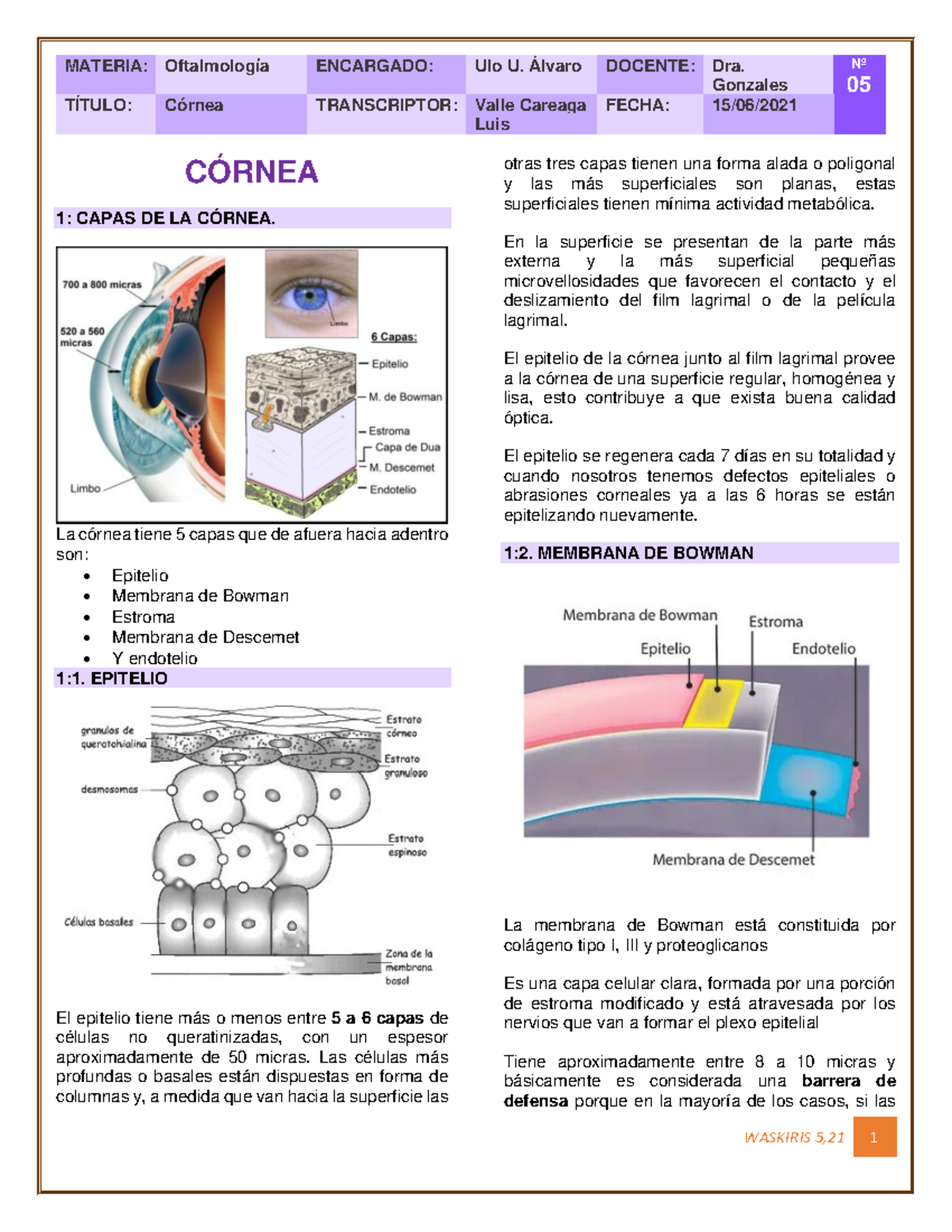 2CIR OFT 05 15 06 Córnea - 2CIR3-OFT-02- 04-06- Párpados SSSDA ...