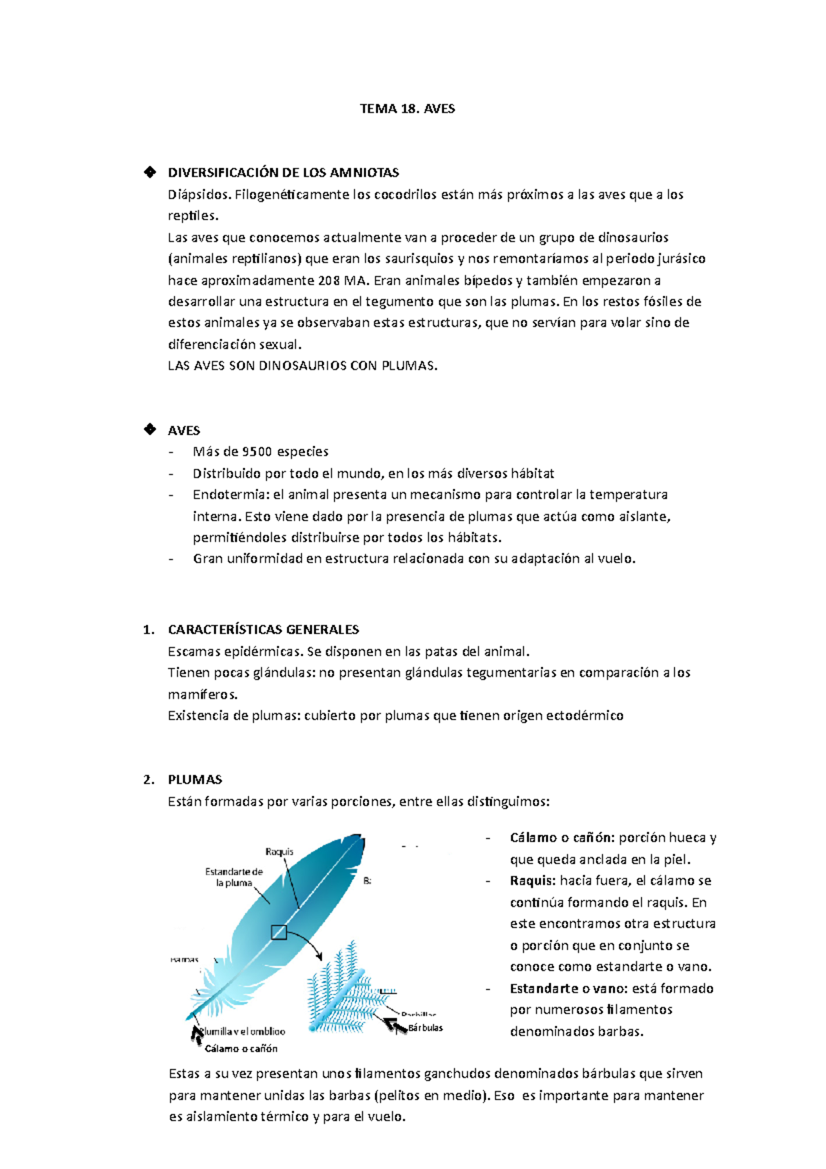 Tema 18. aves - Profesora: ines - TEMA 18. AVES DIVERSIFICACIÓN DE LOS AMNIOTAS Diápsidos. - Studocu