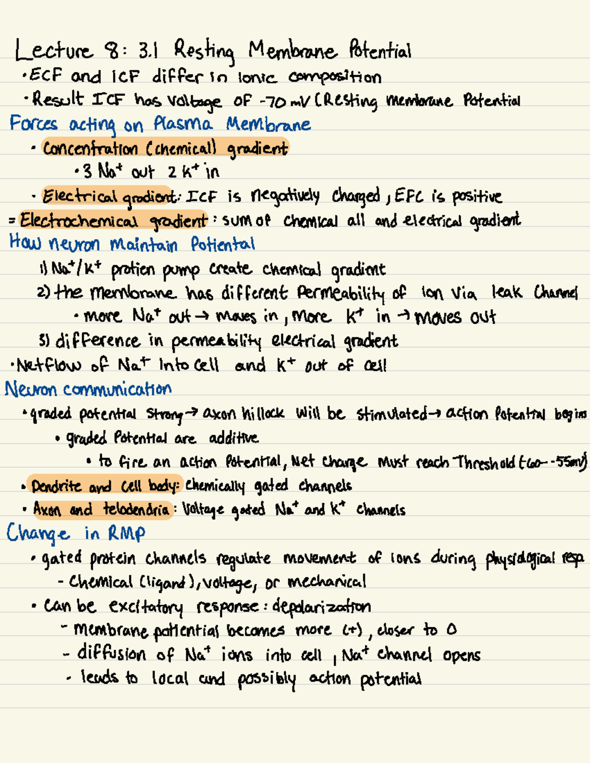 Bio 141 Notes- Resting Membrane Potential(RMP) - Lecture 8.3 Resting ...