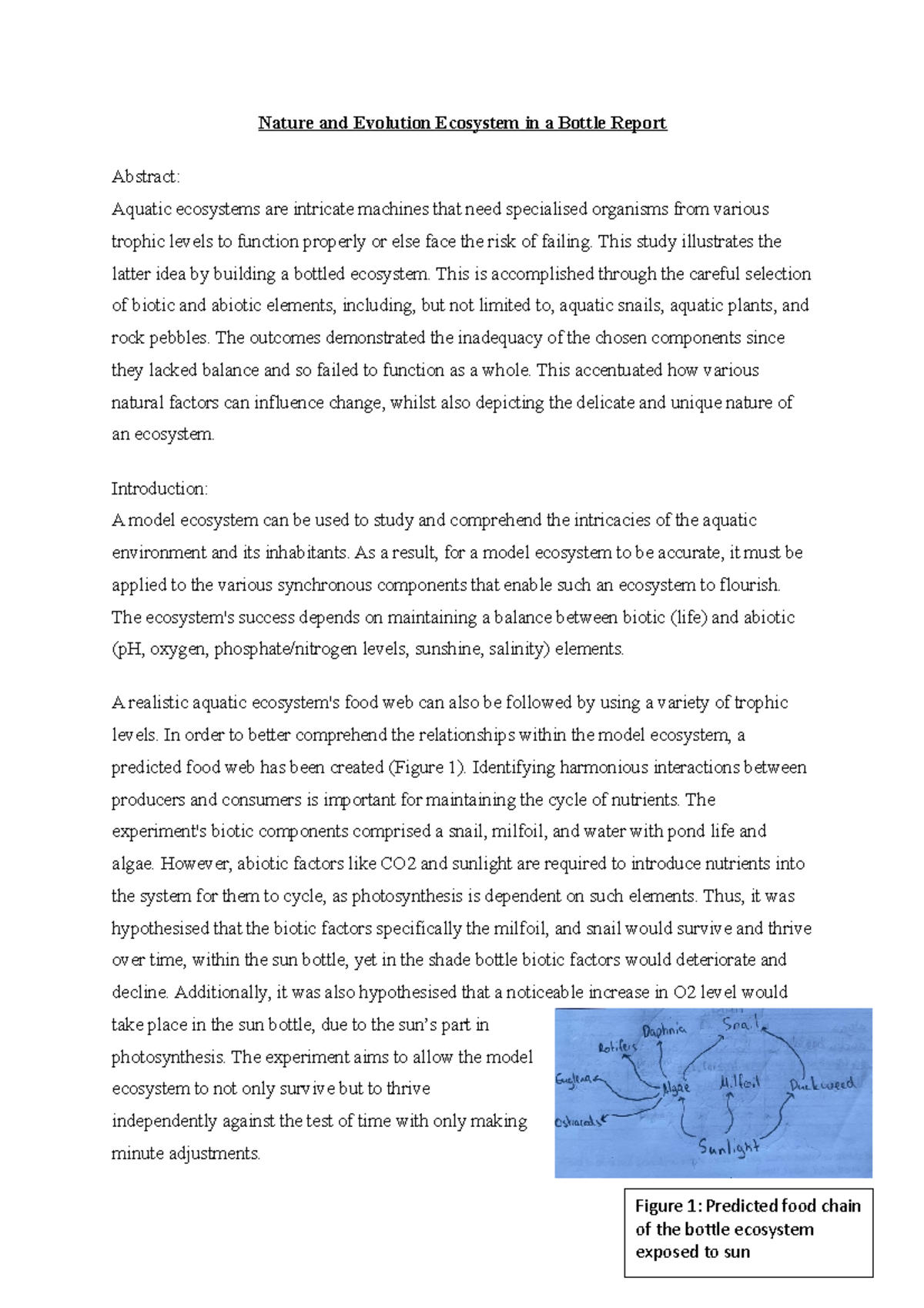 Nature and Evolution Ecosystem in a Bottle Report - Nature and ...