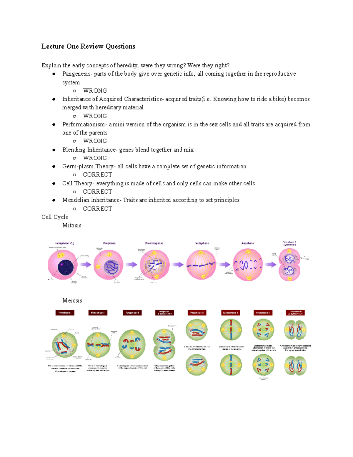 Lecture One Review Questions - Lecture One Review Questions Explain the early concepts of ...