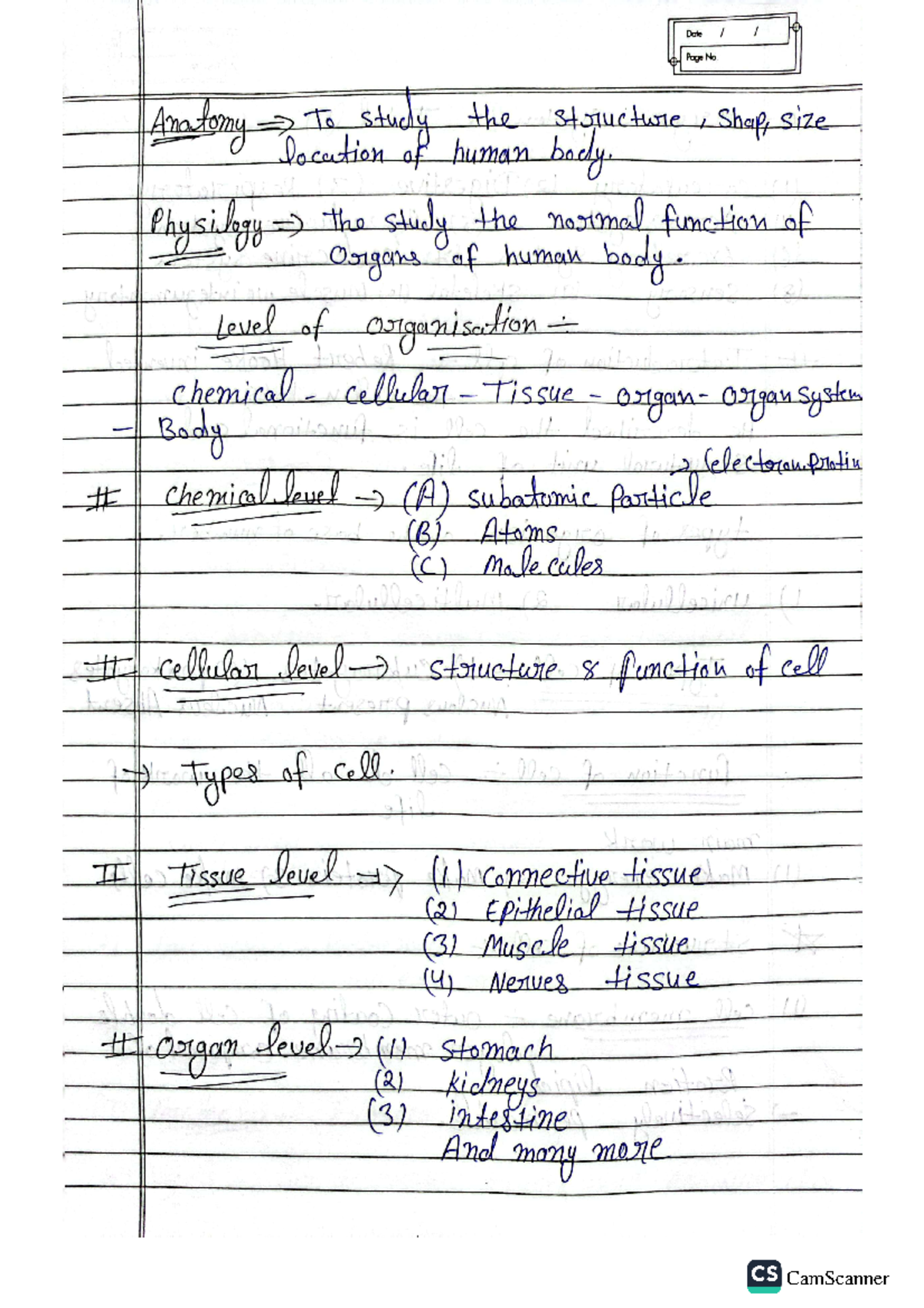 Anotmy notes technical lab - Bsc. Nursing - Studocu