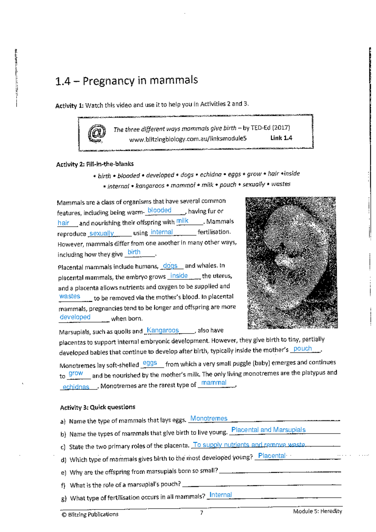 Sexual Reproduction for mammals - Studocu