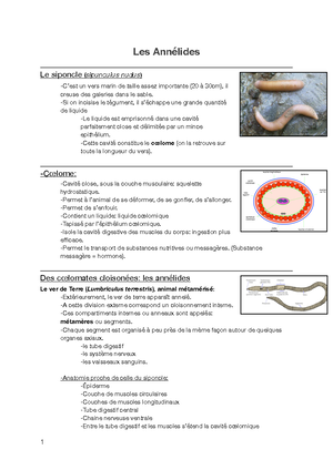 Métazoaire-Spongiaires - INTRODUCTION AU MÉTAZOAIRE. La classification ...