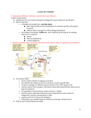 Lecture 7 - Notes - Lecture 7 Explain Otto Loewi’s experiment with frog ...