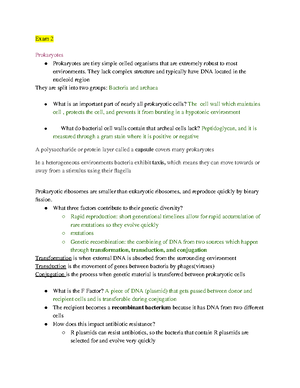 Literature study guide - NOTES: - Golden Compass Lyra • her daemon ...