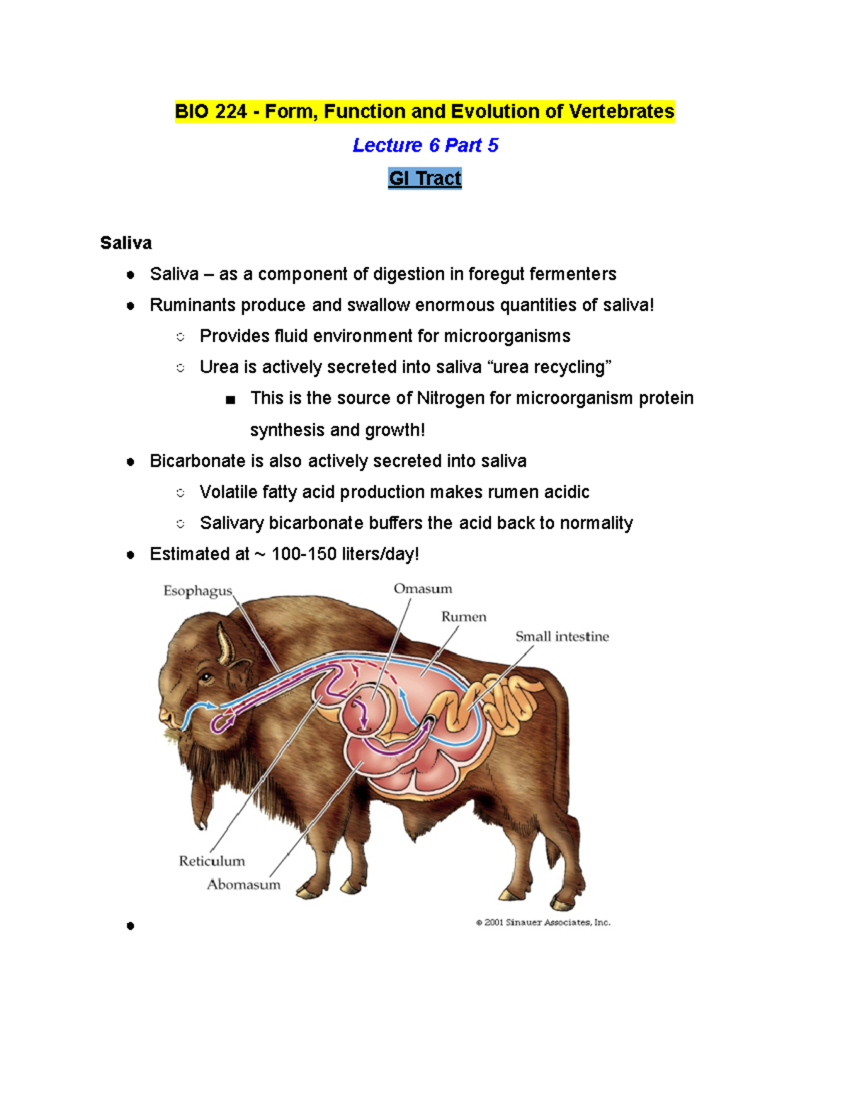 BIO 224 Lecture 6 Part 5 - Winter 2019 - BIO 224 - Form, Function and ...