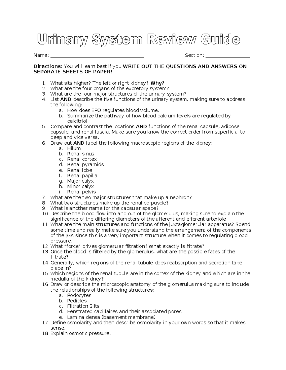 Urinary System Review Guide - Name: ________________________________________ Section: - Studocu