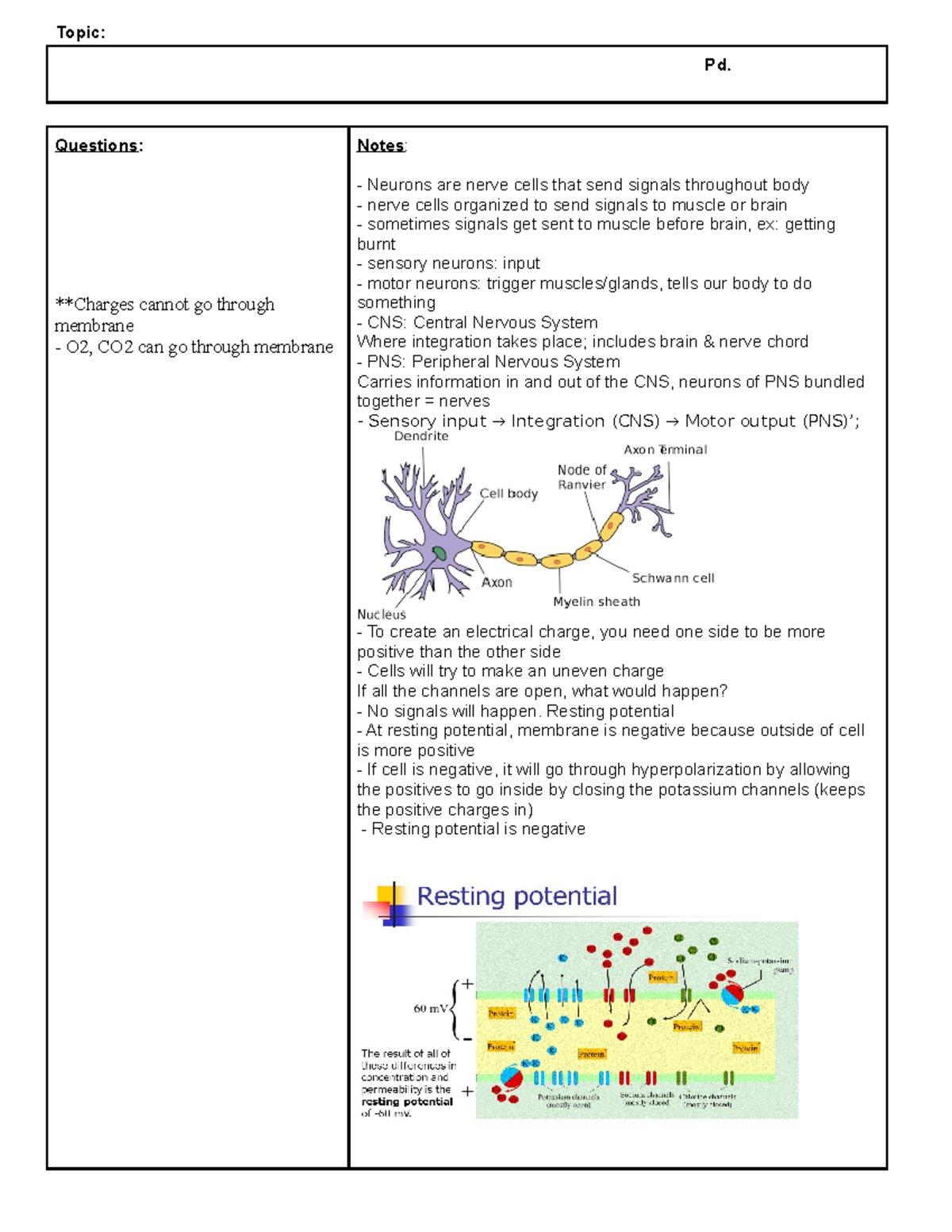 Ch 48, General Bio - Topic: Pd. Questions: **Charges cannot go through ...