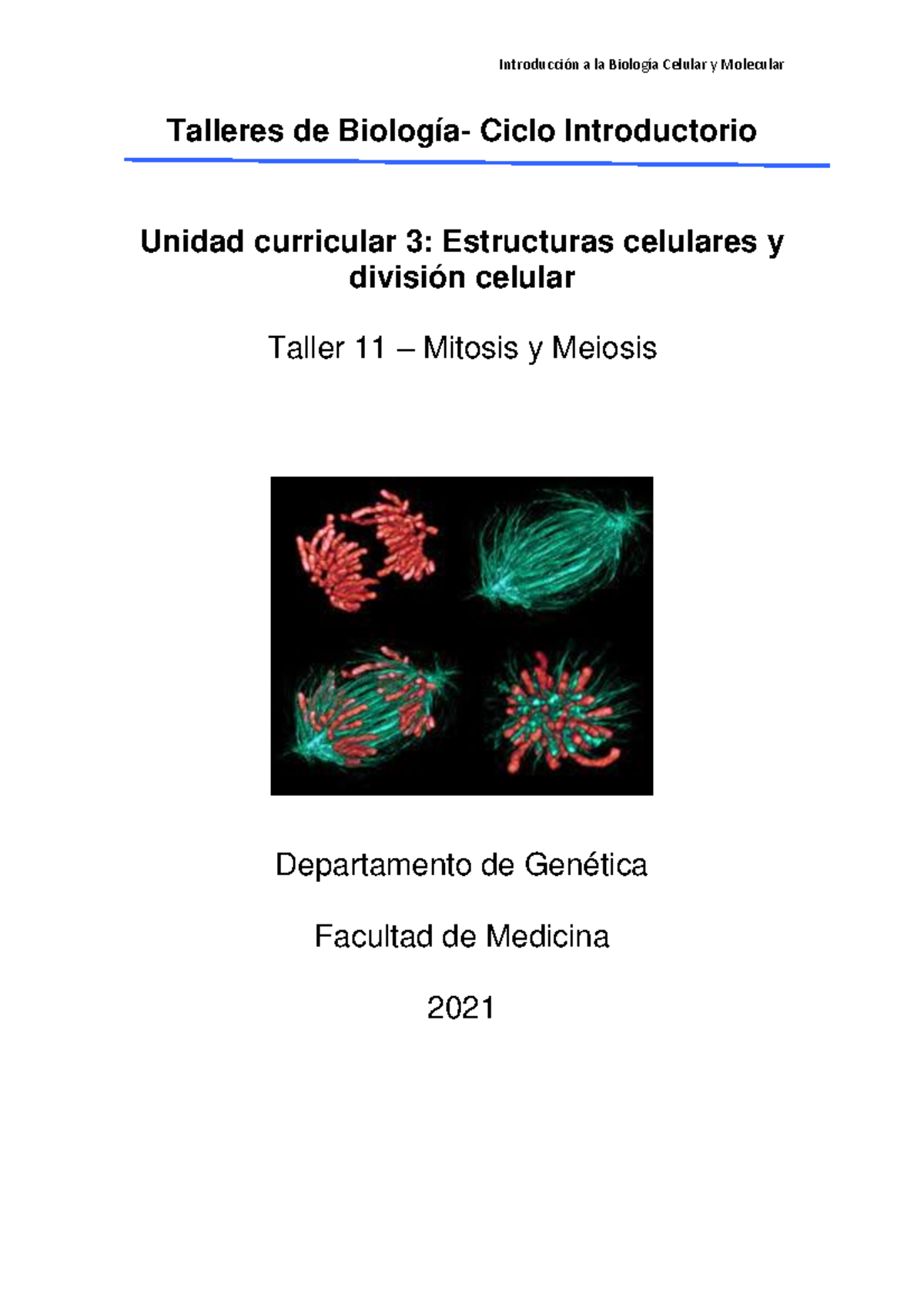 Ibcm Taller 11- Mitosis y Meiosis - Talleres de Biología- Ciclo Introductorio Unidad curricular ...