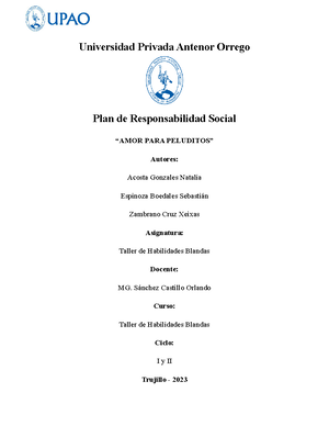 Proyecto de Responsabilidad Social - Proyecto de Responsabilidad Social Denominación “Fomentando ...